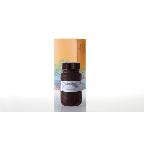 Jual CellTiter-Blue(R) Cell Viability Assay, 20ml - Kota Cimahi - PT ...