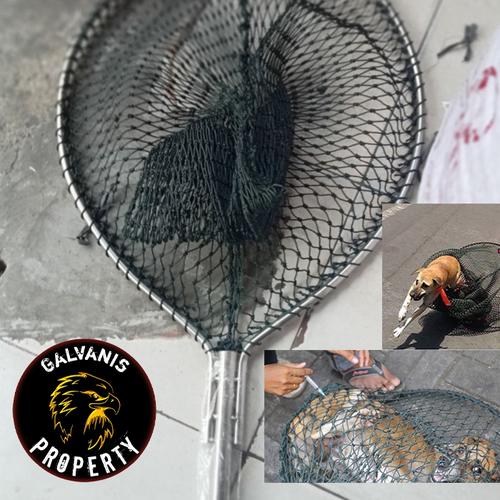 Jual JARING TANGKAP ANJING/KUCING/LUWAK/MUSANG/JARING PERANGKAP AYAM ...