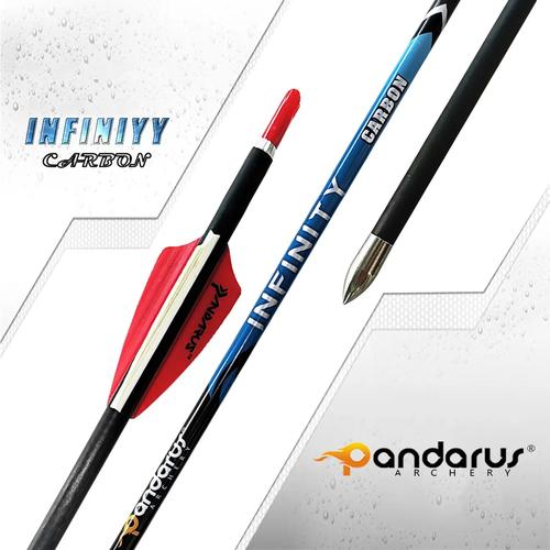 Jual Anak Panah Arrow Pandarus Infinity Pure Carbon ID 4.2mm - 500 ...