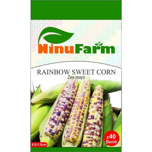 Jual BENIH JAGUNG MANIS - RAINBOW SWEET CORN - NINUFARM - 40 BUTIR ...