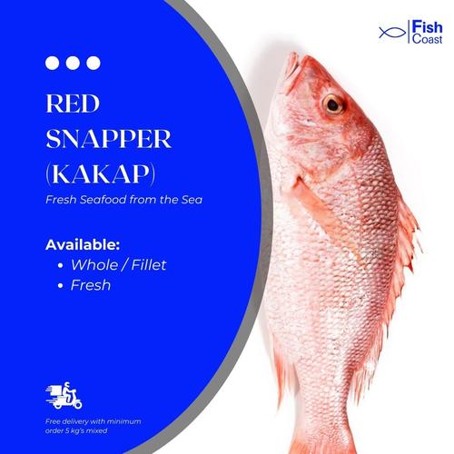 Jual Steak Kakap Merah Tanpa Kulit - RED SNAPPER FILLET Steak Skin Off ...