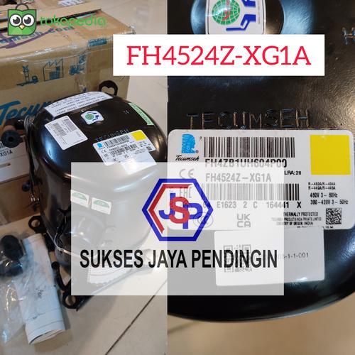 Jual Compressor Tecumseh FH4524Z-XG1A R404a / Kompresor FH4524Z 3Phase ...