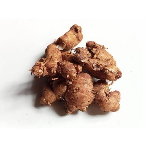 Jual Kencur segar 1kg, kencuur segar 1kg, kencur super 1kg - Jakarta ...