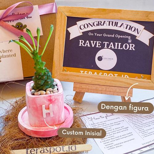 Jual Papan Ucapan mini + Planting Kit Kaktus (custom) - Hadiah, Hampers ...
