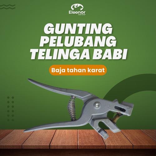 Jual Gunting Telinga Babi Model O Tang Potong Kuping Babi Pig Ear ...