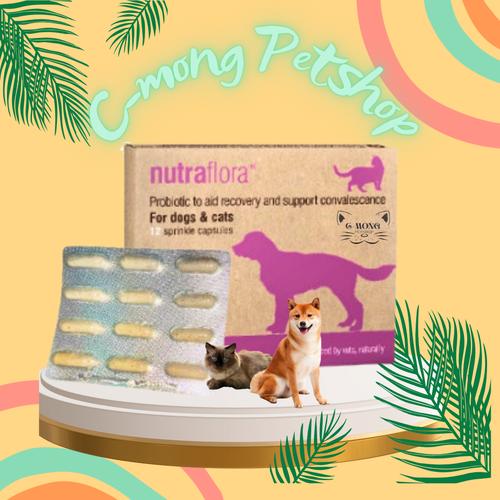 Jual Nutraflora Suplemen Digestive Gastro Probiotic Diare Kucing Anjing - Kab. Tangerang - C ...