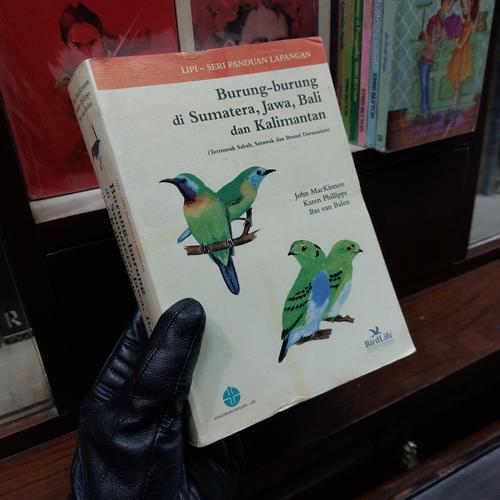 Jual Burung Burung di Sumatera Jawa Bali dan Kalimantan - John ...