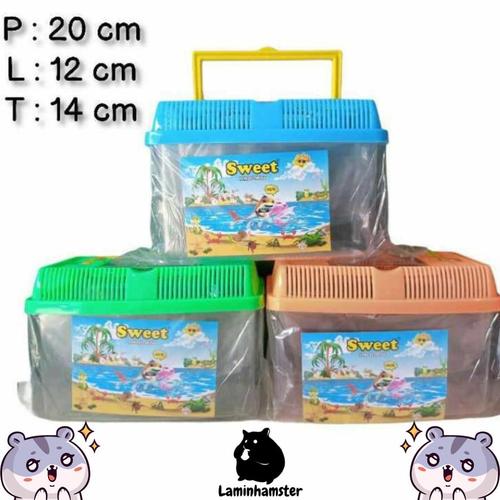 Jual Terarium Besar Kandang Hamster / Kura - Kura / gecko - Jakarta ...