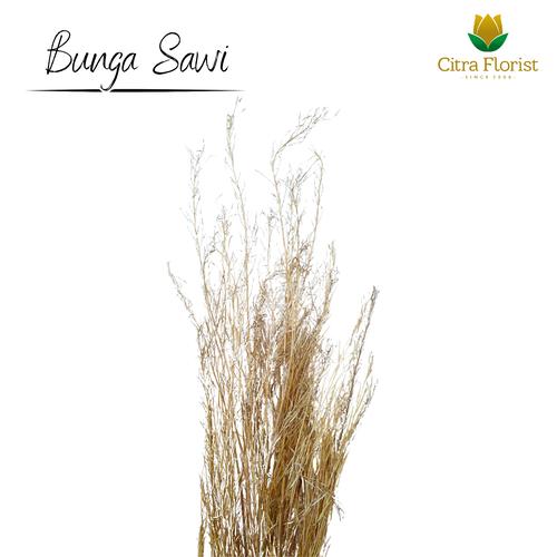 Jual Bunga Sawi - Kuning - Kota Surabaya - Toko Bunga Terpercaya 2008 ...