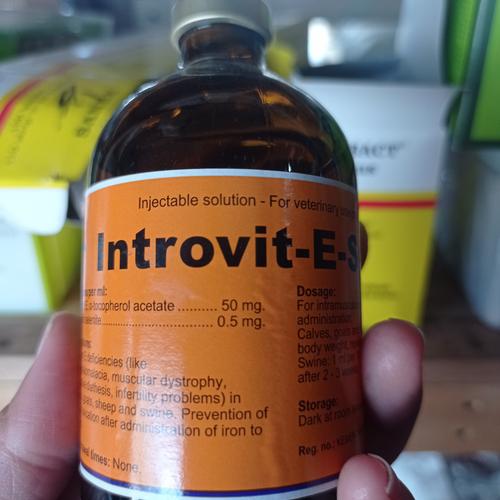 Jual Introvit-E selen 100ml Vitamin Injeksi Holland - Kab. Temanggung ...