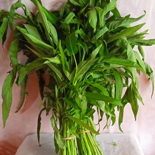 Jual kangkung fresh per ikat 200-300 gr - Kab. Sukabumi - zulfresmarket ...