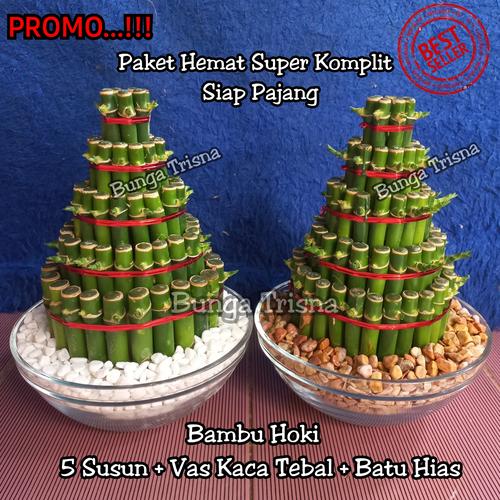 Promo tanaman hias BAMBU HOKI / BAMBU REJEKI 5 SUSUN + VAS KACA + BATU ...