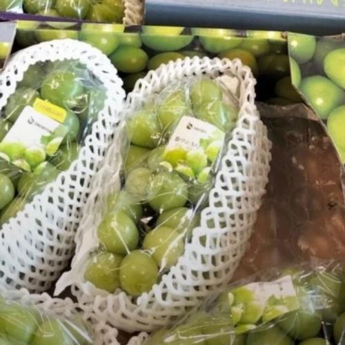 Jual Anggur Muscat Korea Fresh Fruit 500 Grm / Pack - Jakarta Barat ...