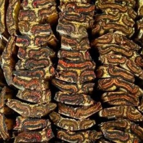 Jual Pengusir Tikus Kayu Naga Mini Isi 1pcs Terlaris!!! - Jakarta Barat ...