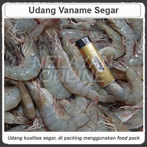 Jual Udang Vaname Fresh/udang tambak segar/Udang Fanami (Shrimp) Besar ...
