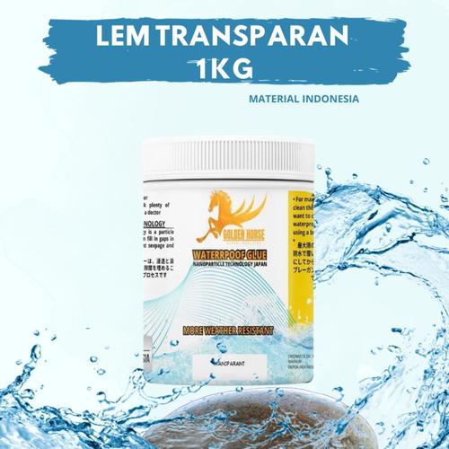 Jual Lem Transparan Pelapis Tembok / Beton Anti Bocor 1kg - Golden ...
