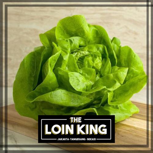 Jual Sayur Selada Romaine Kecil Batavia Butterhead Crystal Lettuce ...