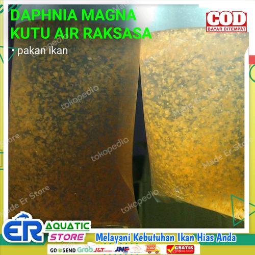 Jual Dhapnia Magna atau kutu air Raksasa - 2bungkus - Kab. Ponorogo ...