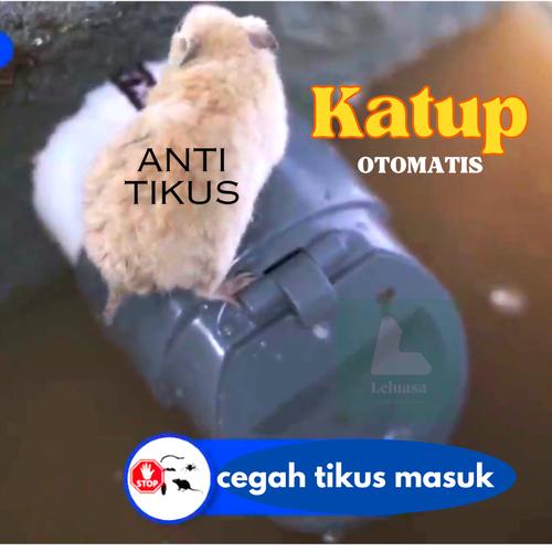 Jual Penutup Pipa Pvc Backflow 3 inch Katup Dop Saluran Pembuangan Air ...