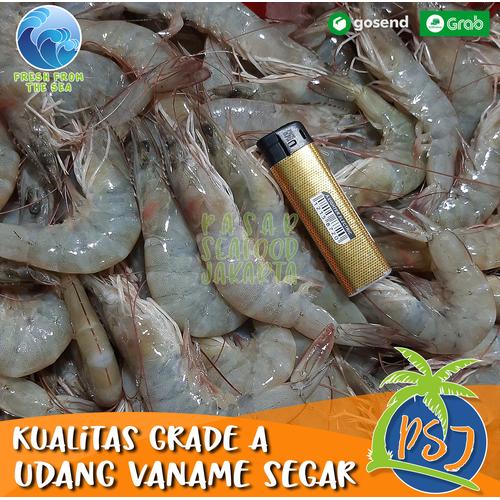 Jual udang vaname segar Udang Tambak/Udang Vannamei Fresh Seafood ...