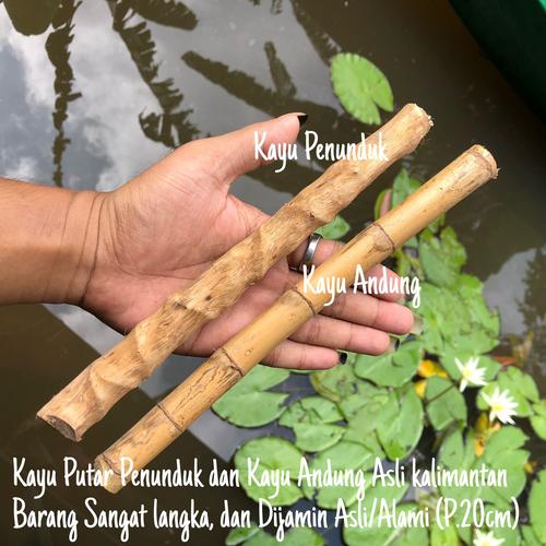 Jual Kayu Putar Penunduk dan Kayu Andung Sepasang Asli Kalimantan ...