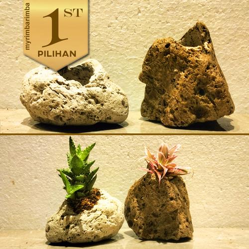 Jual Pot Batu Pumice untuk Tanaman Hias Sukulen Hiasan Aquarium ...
