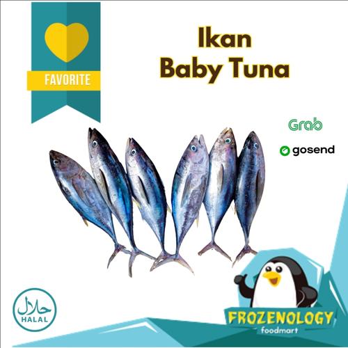 Jual Ikan Baby Tuna Utuh 1 Kg Frozen - Baby Tuna 1KG - Kota Bekasi ...