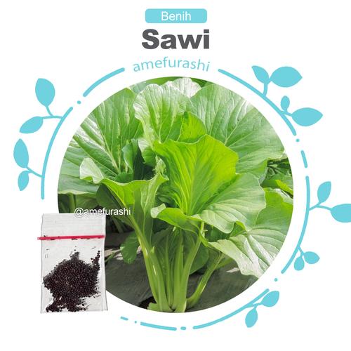 Jual Benih/Bibit Sayur Caisim Manis/Sawi Eceran Isi Banyak dan ...