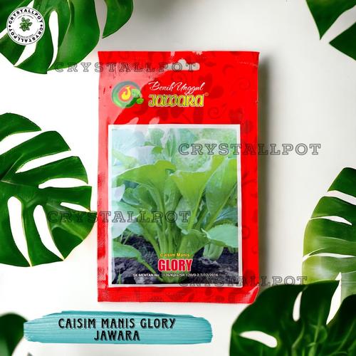 Promo Benih Bibit Caisim Manis Glory Benih Unggul Jawara - CAISIM GLORY ...