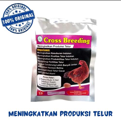 Jual CROSS BREEDING SACHET SAWOENG GALENG PRODUKSI TELUR AYAM BETINA ...