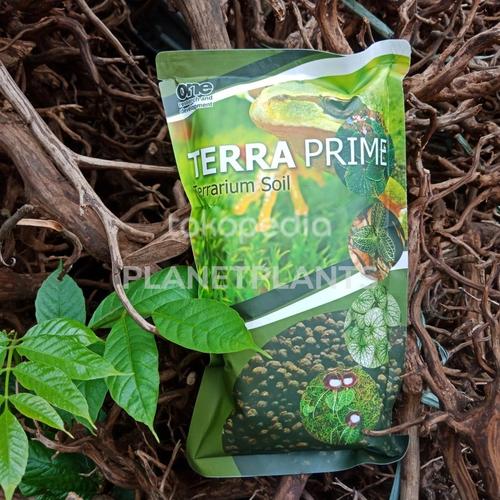Jual TERRA PRIME TERRARIUM SOIL SUBSTRATE MEDIA TANAM PALUDARIUM - Jakarta Selatan - Terrarium ...