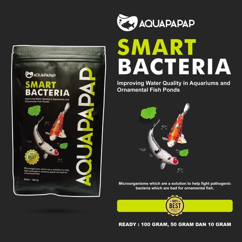 Jual Aquapapap Smart Bacteria Bakteri Starter Untuk Kesehatan Ikan dan ...