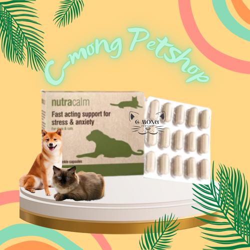 Jual Nutracalm for Cats & Dogs Suplemen Anti Stress Kucing Anjing - Kab ...