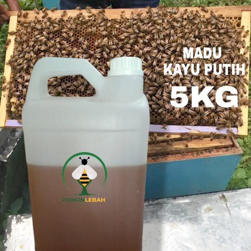 Promo madu nektar kayu putih original honey 5000 gr - tanpa label - Kab ...