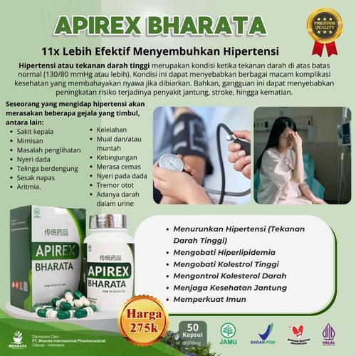 Jual Apirex Bharata Kemasan 500mg Isi 50 Kapsul Garansi 100% Original ...