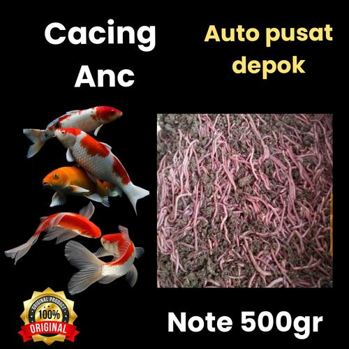 Jual cacing tanah anc 500gr umpan mancing pakan unggas note 500 gram ...