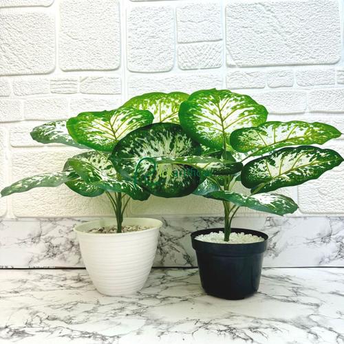 Jual Pohon Artificial Sri Rejeki Hijau Corak Putih X9 Pot Dasar & Tawon ...