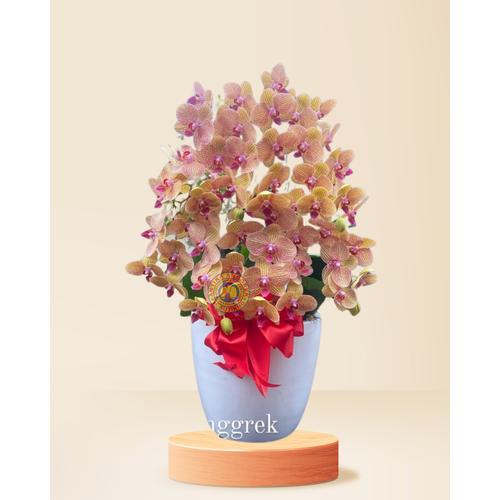 Jual Hampers Anggrek koleksi isi 7 + pita + kartu ucapan - Glasur Putih ...