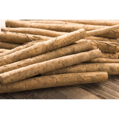 Jual LOLA Akar Ketela Segar Fresh Burdock Root Gobo Niu Pang IMPORT 1 ...