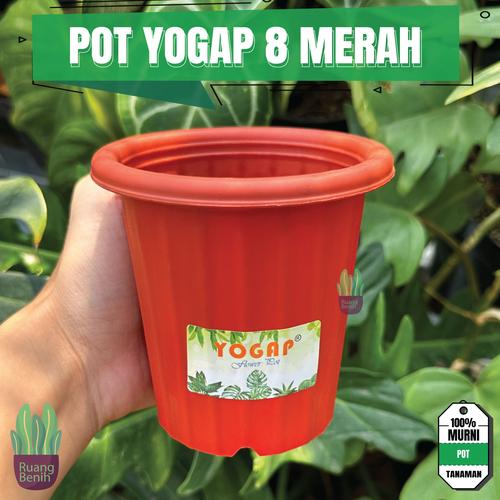 Jual Pot Bunga Tebal Premium Pot Tanaman Hias Yogap No.8 Plastik Cantik ...