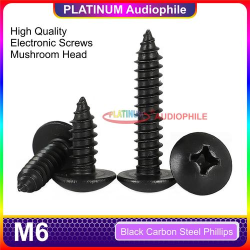 Jual Sekrup Hitam M6 Speaker Baut Skrup kasar lancip tajam Carbon Steel ...