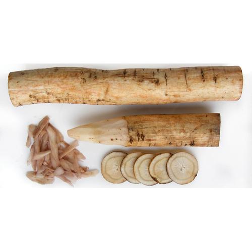 Jual Akar Ketela Jepang Burdock Root Gobo Niu Pang IMPORT 500 gr - 1 kg ...