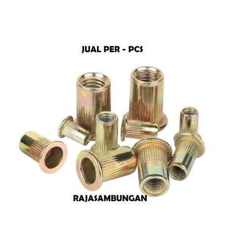Jual Mur Paku Keling m 6 x 16 mm Blind Rivet Tanam Mur Bibir Mur ...