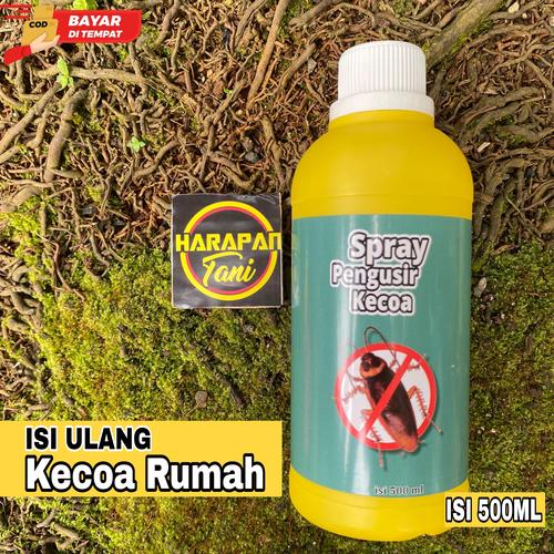 Jual ISI ULANG Kecoa | Pembasmi Kecoa | Anti Kecoa | Kecoa Rumah ISI ...