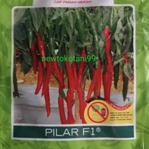 Jual Benih cabe besar PILAR F1 1500 butir cabai besar hibrida dari ...