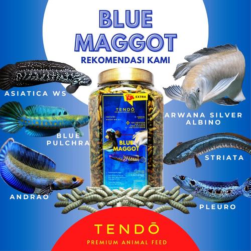 Promo Pakan Makanan Arowana Super Red / Arwana Super Red Maggot Kering ...