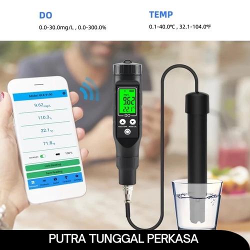 Jual BLE-9100 Smart DO Dissolved Oxygen Meter Bluetooth pH Meter ...
