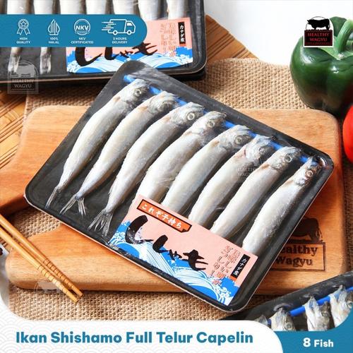 Jual Ikan Shisamo Full Telur Capelin Fish Premium 8 pcs Healthy Wagyu ...
