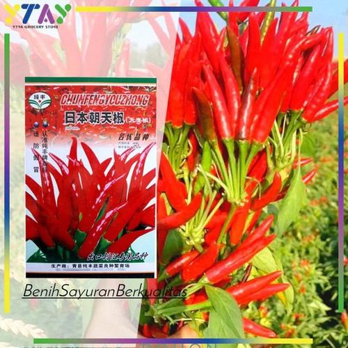 Jual 50 Biji Cabe Tumpuk Jepang | Cabai Rawit Red Cluster Papper Seeds ...