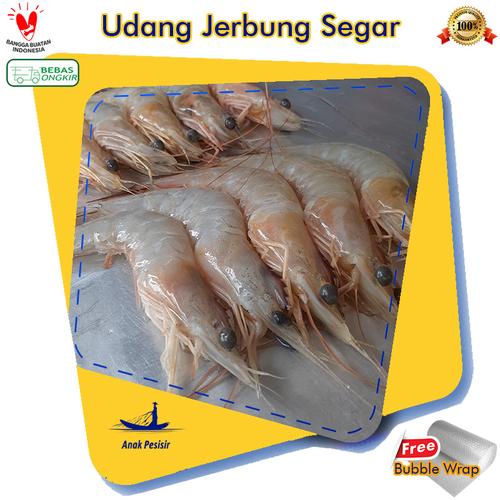 Jual Udang jerbung laut Fresh-Frozen / Shrimp Jerbung Banana / Udang ...